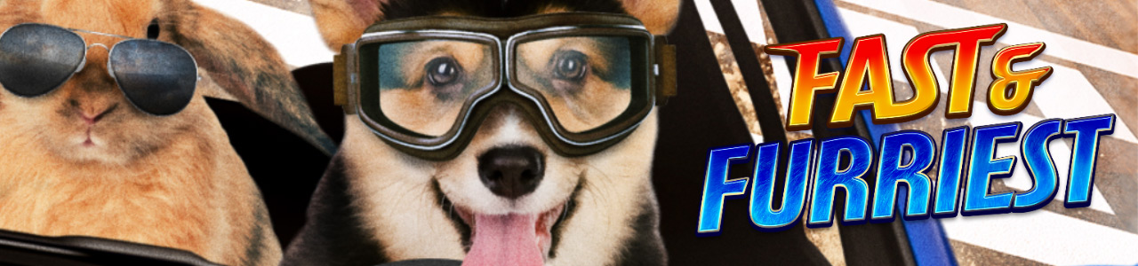 Fast and Furriest | Fast and Furriest