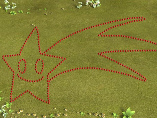 Boom & Reds | Turtle