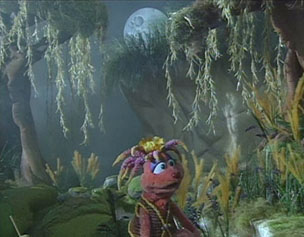 Groundling Marsh | Night And Day