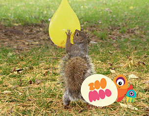 Animal All Stars | Beautiful Teeth