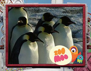 Animal All Stars | Deep Freeze