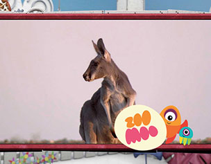 Animal All Stars | Sun Soakers