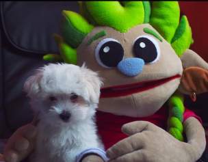 ARi BARi - Everyone Needs A Buddy | ARi BARi - Fluffy Buddy