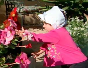 Baby Genius | Four Seasons!