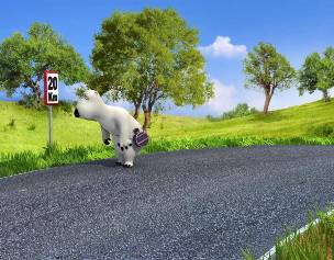 Bernard | The Unicycle