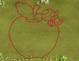 Boom & Reds | Turtle