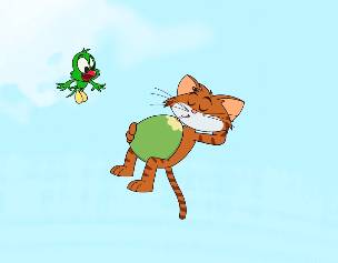 Cat & Keet | The Wet Cat