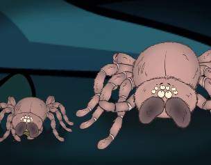 I'm A Creepy Crawly | Tarantula