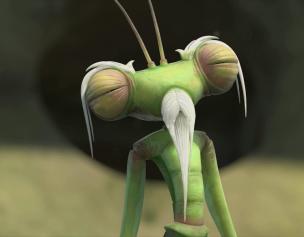 Insectibles | Ronin Roaches