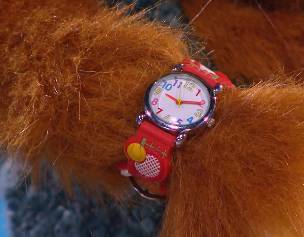 Jay's Jungle | Friends