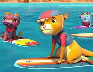 Kangaroo Beach | Coach Koala