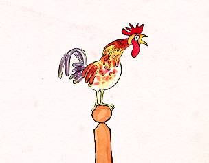 Key Wilde & Mr Clarke | Animal Kingdom