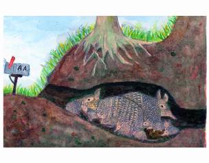 Key Wilde & Mr Clarke | Armondo Armadillo