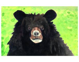 Key Wilde & Mr Clarke | Bear Song