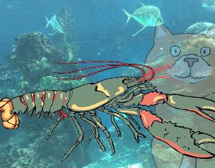 Key Wilde & Mr Clarke | Larry The Lobster