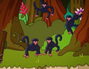 Let's Go See | Let's Go See The Amazon Rainforest - The Monkey's Lost!