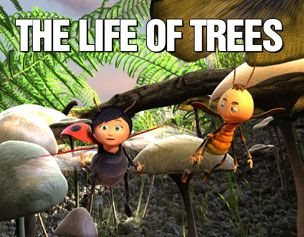 The Life Of Trees | The Life Of Trees