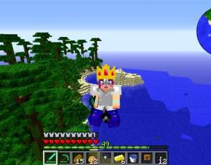 Minecraft: Fairy Horse Quest | Beehive Bedlam!