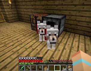 Minecraft: Journey to the End | My New Dogs!