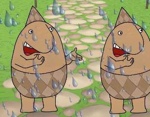 Mr Toti | Mr. Toti And The Flood