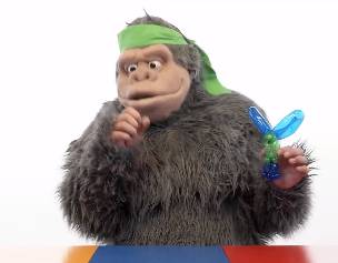 Ninja Pop | Hummingbird