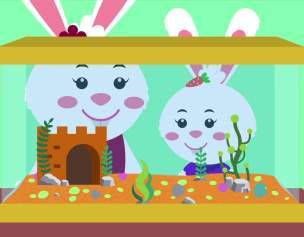 Ria Rabbit | A Package For Ria