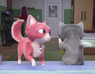 Shasha and Milo | The Carnival Cat