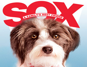 Sox: A Family's Best Friend | Sox: A Family's Best Friend