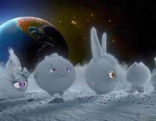 Sunny Bunnies | Sunny racers