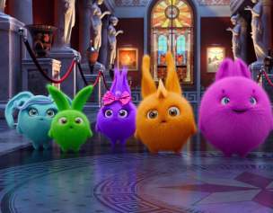 Sunny Bunnies | Sunny racers