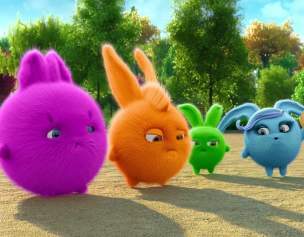 Sunny Bunnies | Sunny racers