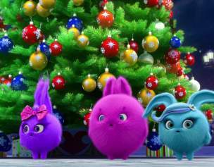 Sunny Bunnies | Sunny racers