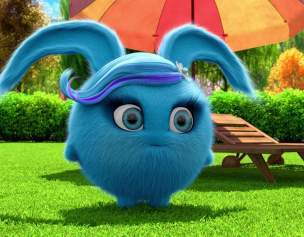 Sunny Bunnies | Sunny racers