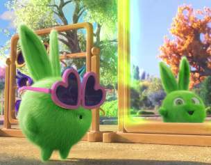 Sunny Bunnies | Sunny racers