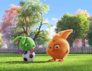 Sunny Bunnies | Sunny racers