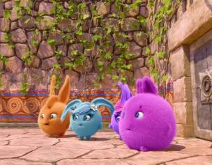 Sunny Bunnies | Sunny racers