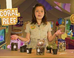 Wild Explorers | Make A Terrarium