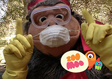 Animal All Stars | Wild and Weird