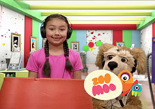 Animal All Stars | Superstars