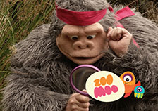 Animal All Stars | Wrigglers