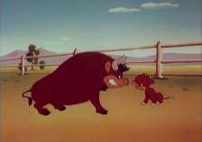 Casper The Friendly Ghost | Bull Fright