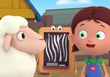 Counting With Paula | Everlasting Light