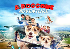 A Doggone Adventure | A Doggone Adventure