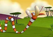 Gazoon | Light Weight