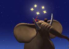 Gazoon | The African Night