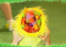 Ha Ha Hairies | The Day of the Fruity Furball Race