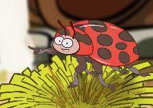 I'm A Creepy Crawly | Ladybird