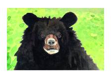 Key Wilde & Mr Clarke | Bear Song