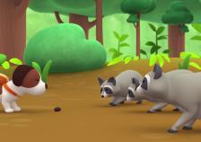 Leo The Wildlife Ranger | Raccoon