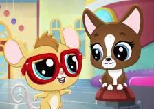 Littlest Pet Shop: World of Our Own | Pitch Im-Purr-Fect